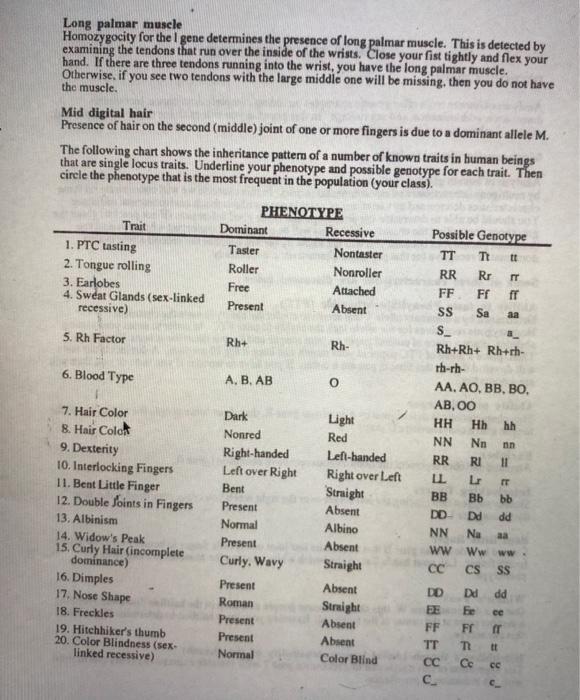 HUMAN TRAITS EXERCISE INTRODUCTION Analyses of human | Chegg.com