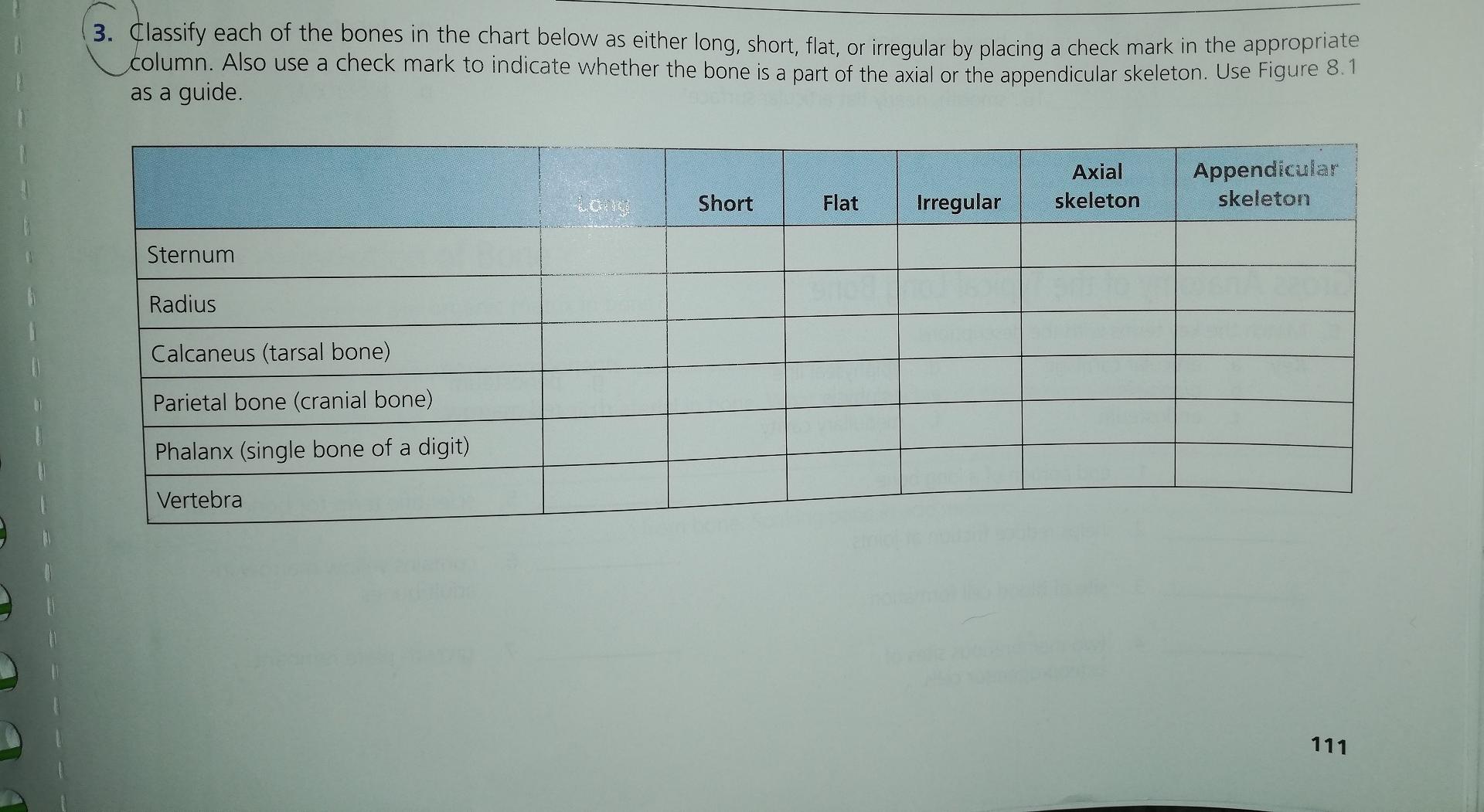 Solved 3. Classify each of the bones in the chart below as | Chegg.com