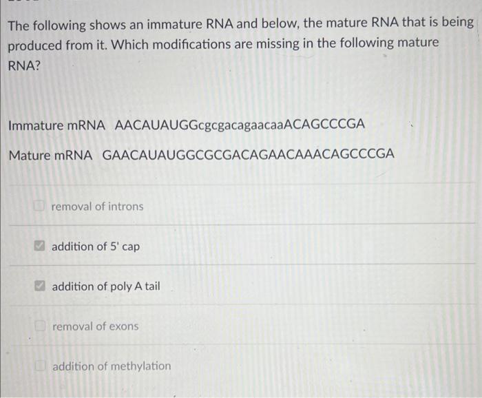 Solved The following shows an immature RNA and below, the | Chegg.com