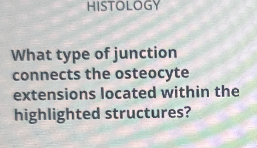Solved What type of junctionconnects the osteocyteextensions | Chegg.com