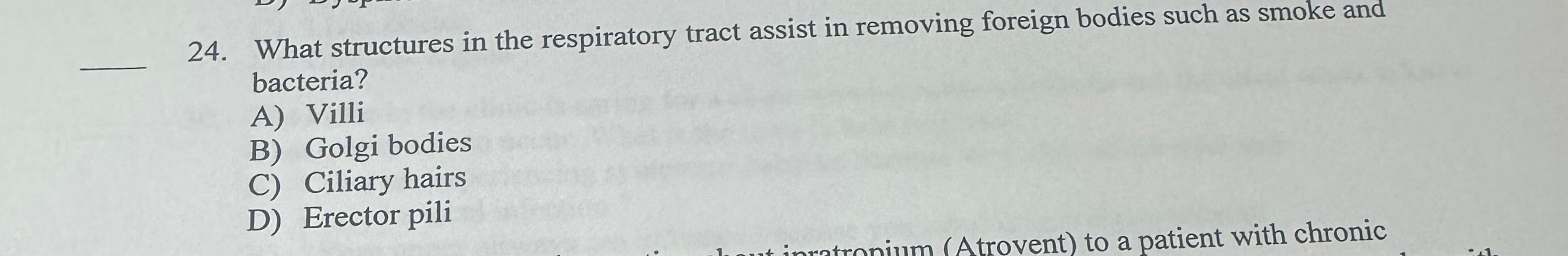 Solved What structures in the respiratory tract assist in | Chegg.com