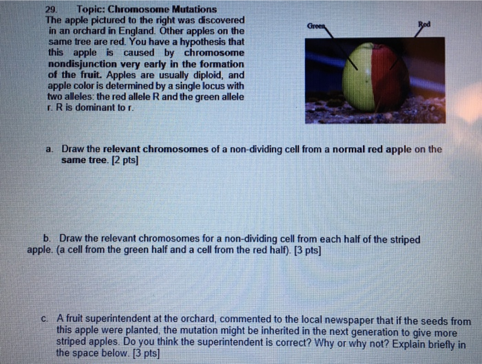Solved 29. Topic: Chromosome Mutations The apple pictured to | Chegg.com
