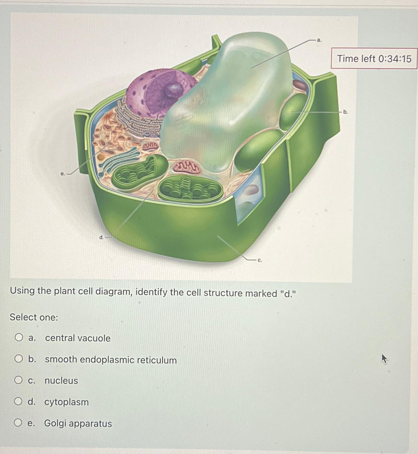 Solved Using the plant cell diagram, identify the cell | Chegg.com
