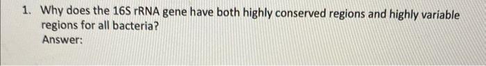 Solved 1. Why does the 16S rRNA gene have both highly | Chegg.com