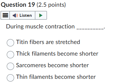 Solved Question 19 (2.5 ﻿points)During muscle | Chegg.com