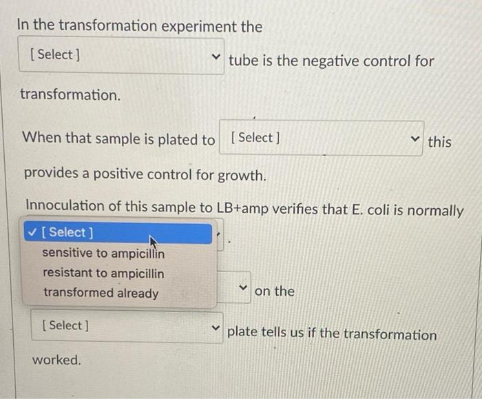 Solved In the transformation experiment the [ Select ] tube | Chegg.com