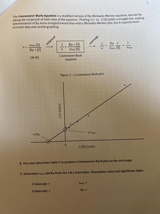 Solved 7 The Lineweaver-Burk equation is a modified version | Chegg.com