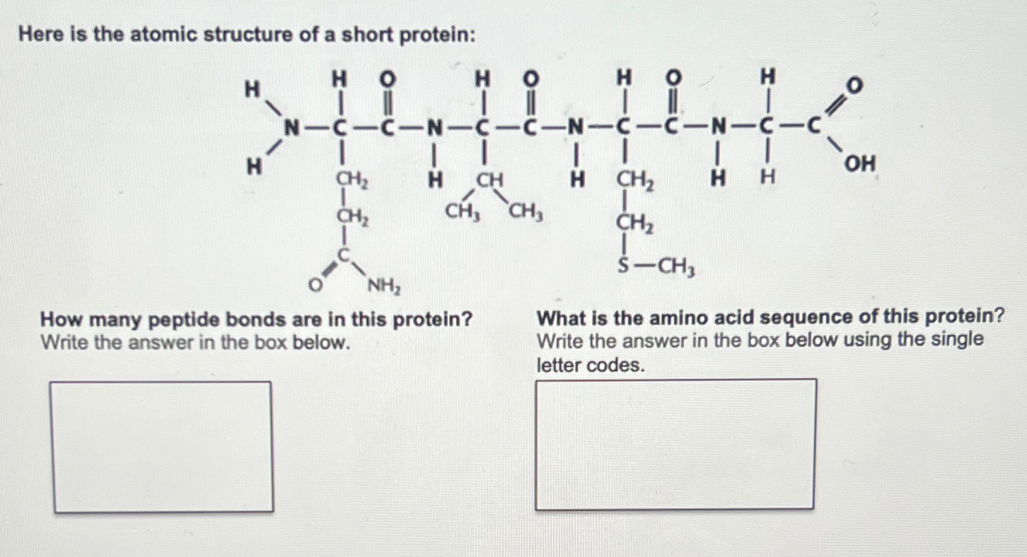 Solved Here is the atomic structure of a short protein:How | Chegg.com