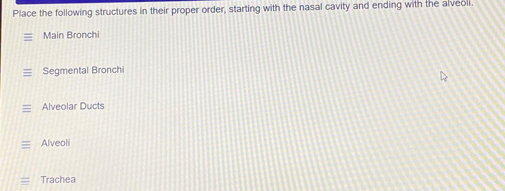Solved Place the following structures in their proper order, | Chegg.com