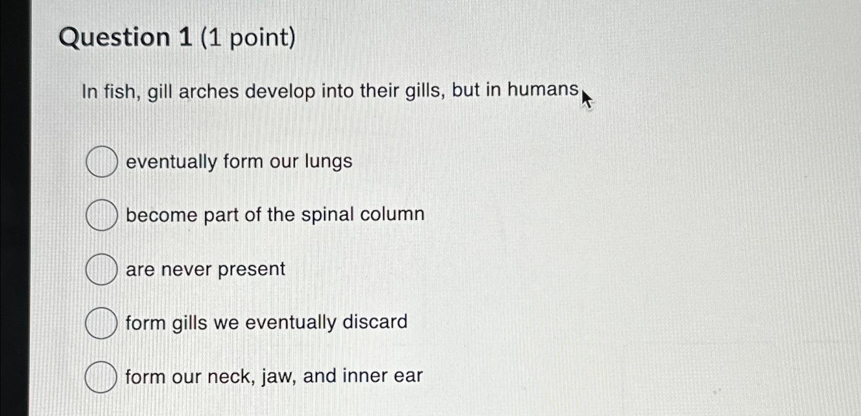 Solved Question 1 (1 ﻿point)In fish, gill arches develop | Chegg.com