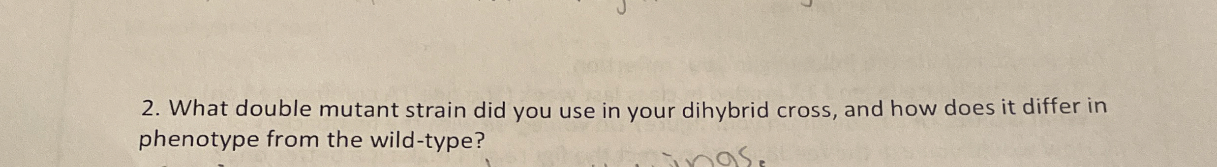 Solved What double mutant strain did you use in your | Chegg.com