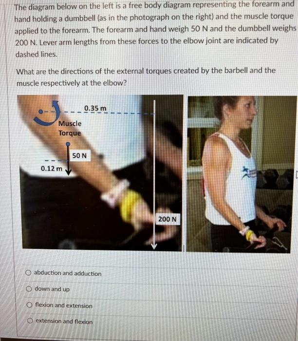 Solved The diagram below on the left is a free body diagram | Chegg.com