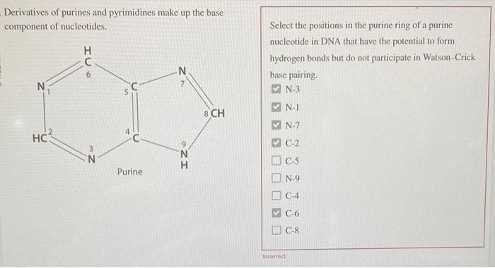 Solved Derivatives of purines and pyrimidines make up the | Chegg.com