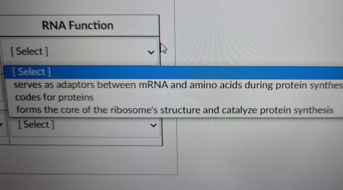 Solved Enzyme RNA type RNA poll [ Select]