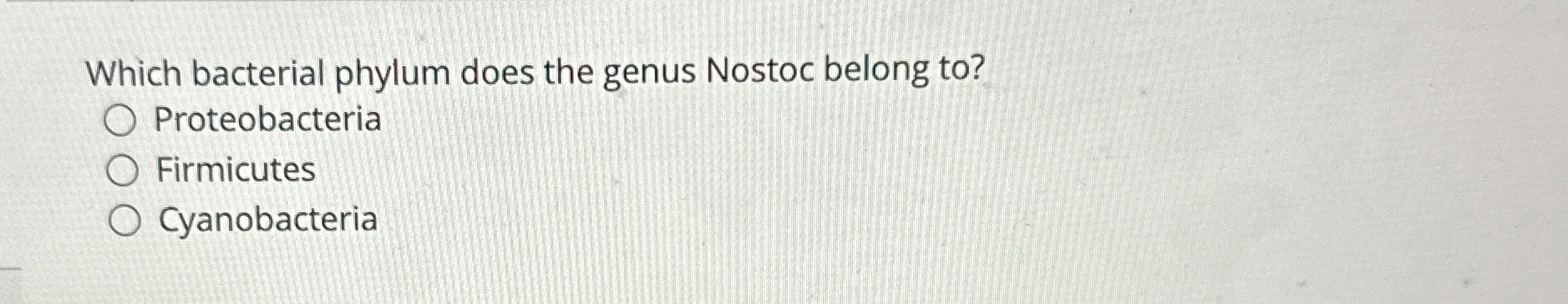 Solved Which bacterial phylum does the genus Nostoc belong | Chegg.com