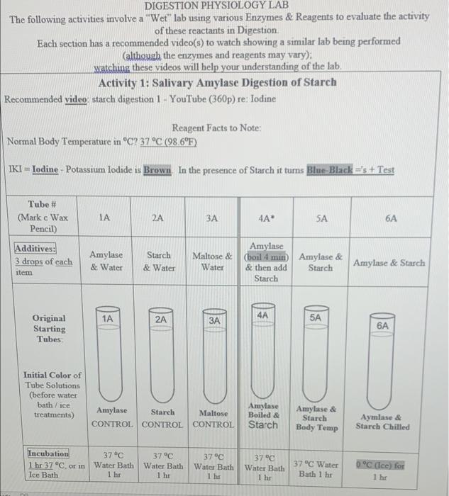 Solved DIGESTION PHYSIOLOGY LAB The following activities | Chegg.com
