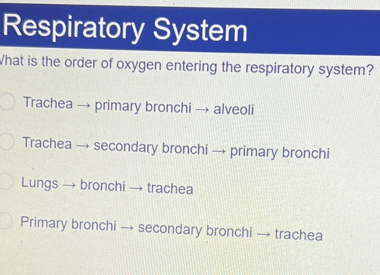 Solved Respiratory SystemWhat is the order of oxygen | Chegg.com