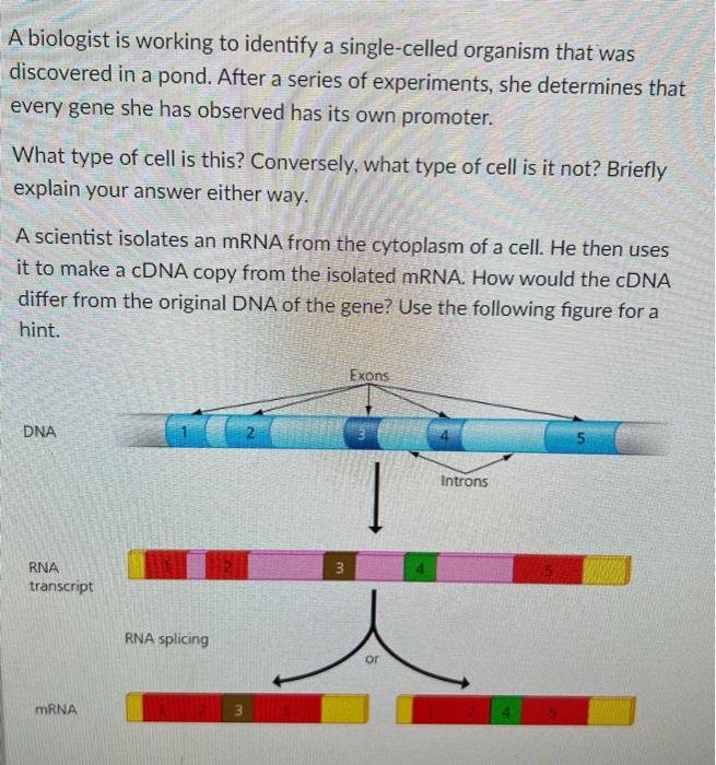 Solved A biologist is working to identify a single-celled | Chegg.com