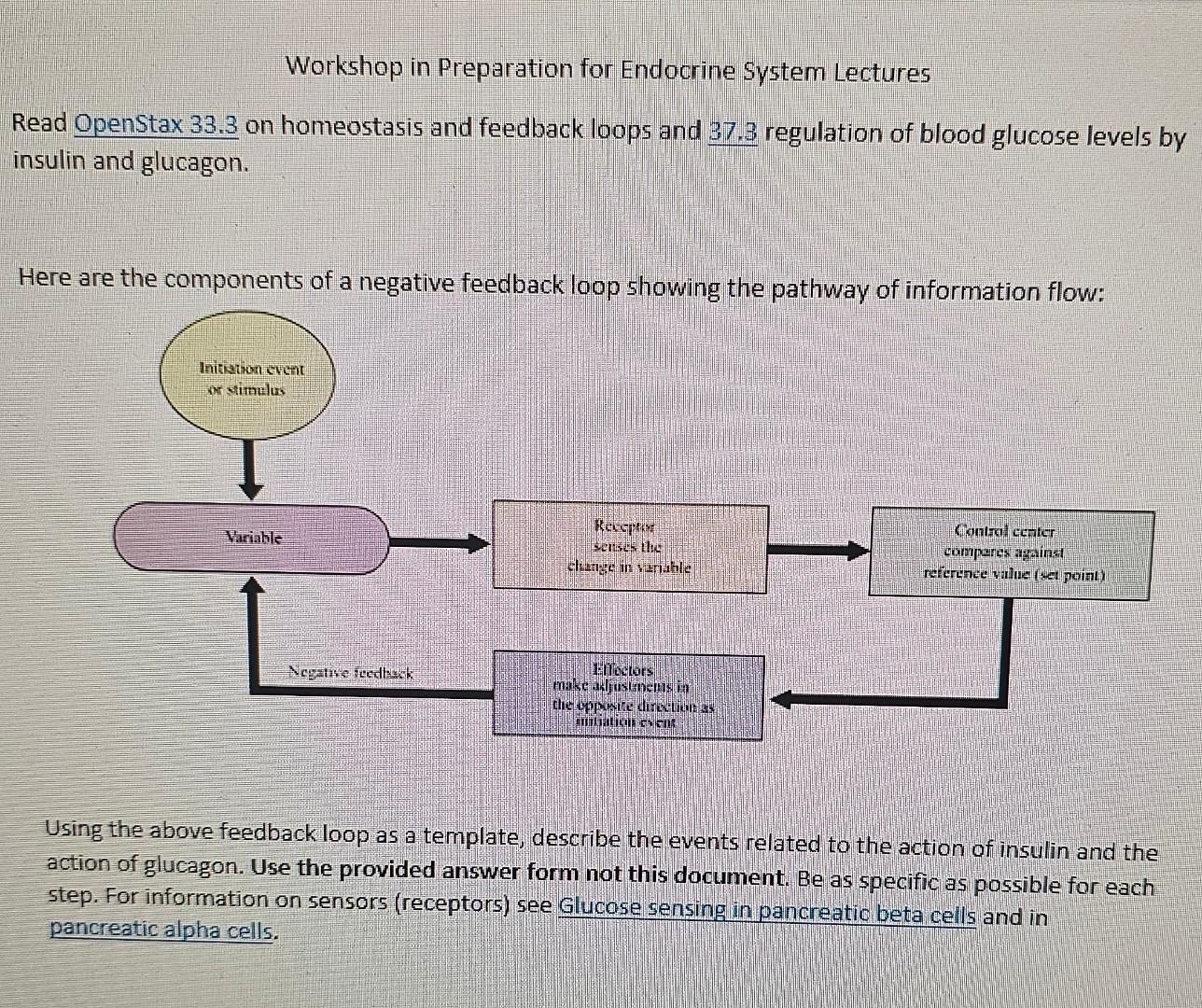 Solved Read OpenStax 33.3 on homeostasis and feedback loops | Chegg.com