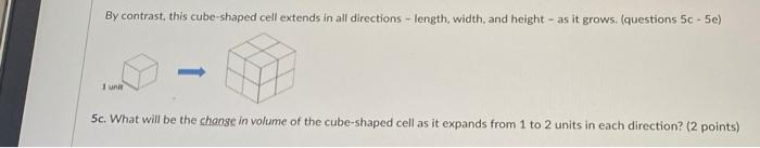 Solved By contrast, this cube-shaped cell extends in all | Chegg.com