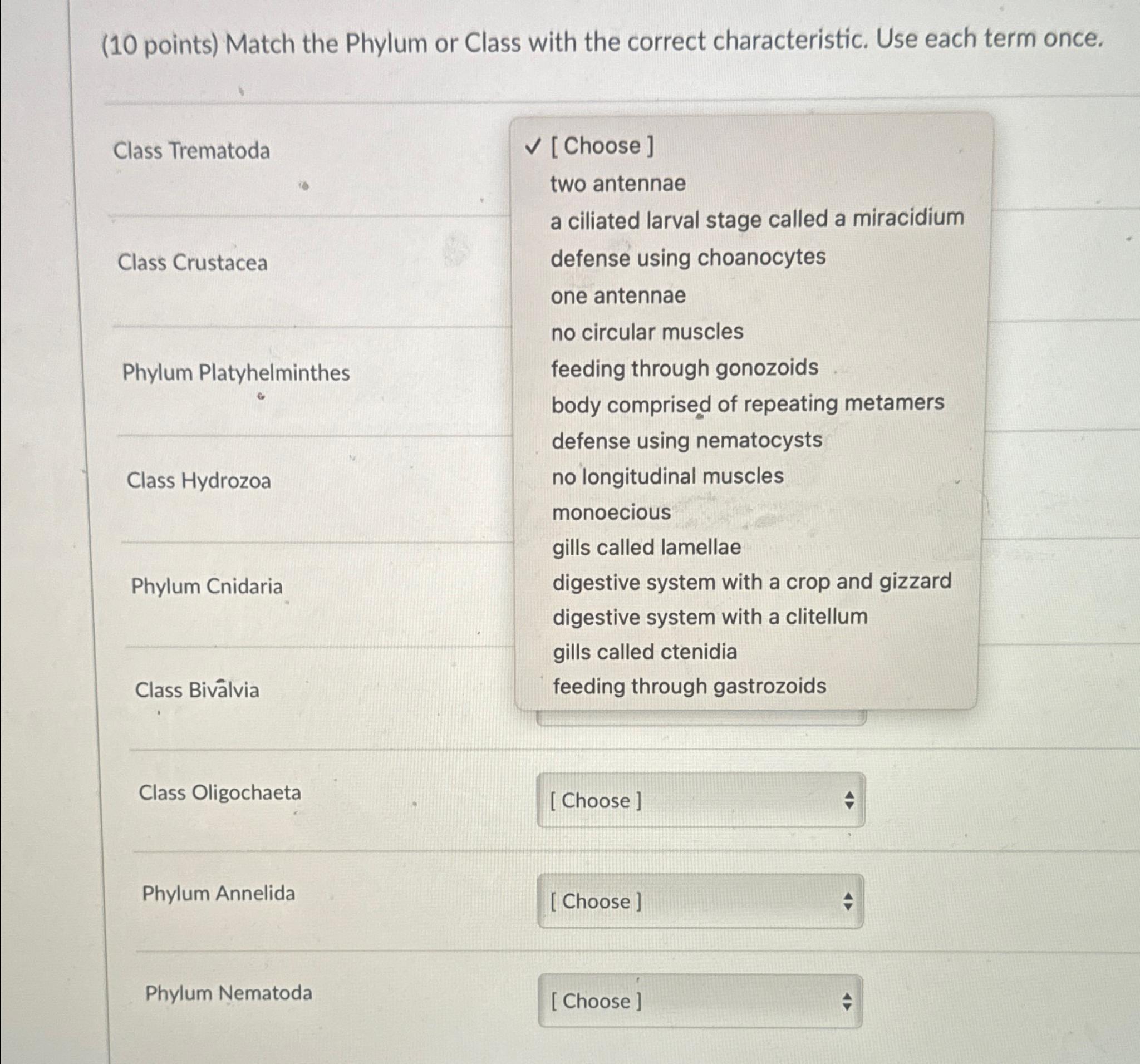 Solved (10 ﻿points) ﻿Match the Phylum or Class with the | Chegg.com