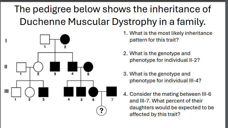 Solved The pedigree below shows the inheritance ofDuchenne | Chegg.com