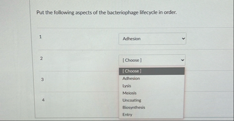 Solved Put the following aspects of the bacteriophage | Chegg.com