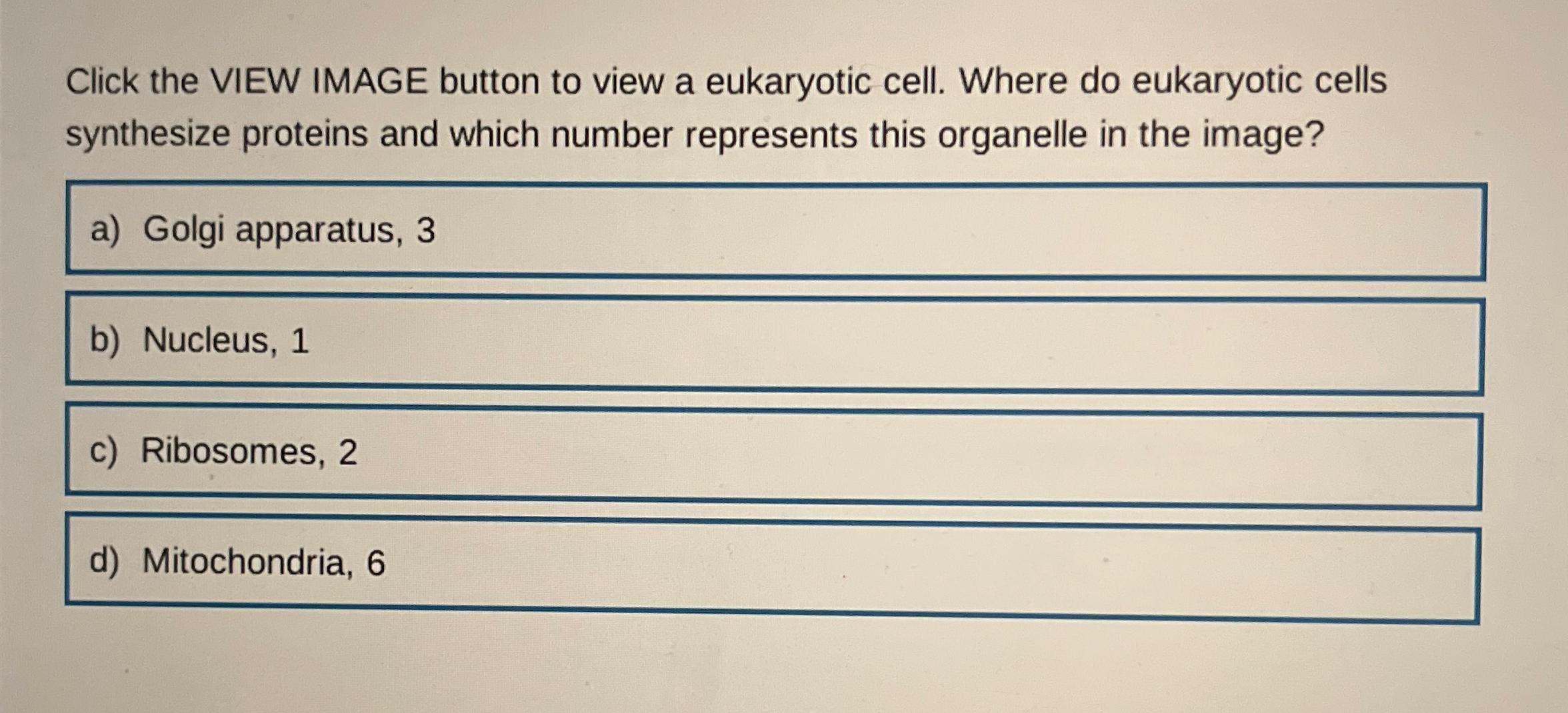 Solved Click the VIEW IMAGE button to view a eukaryotic | Chegg.com