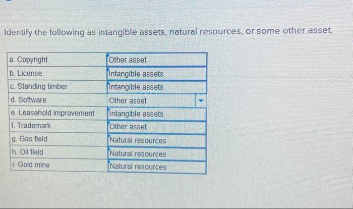 Solved Identify the following as intangible assets, natural | Chegg.com