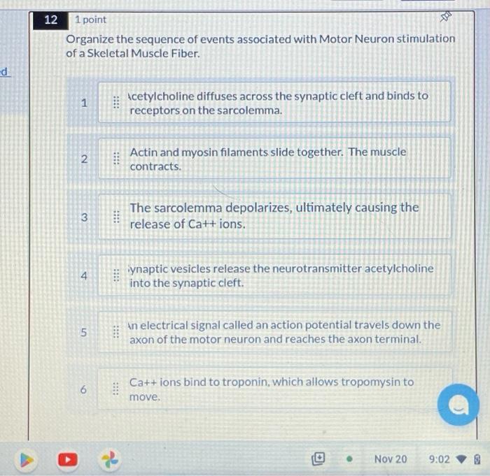 Solved Organize the sequence of events associated with Motor | Chegg.com