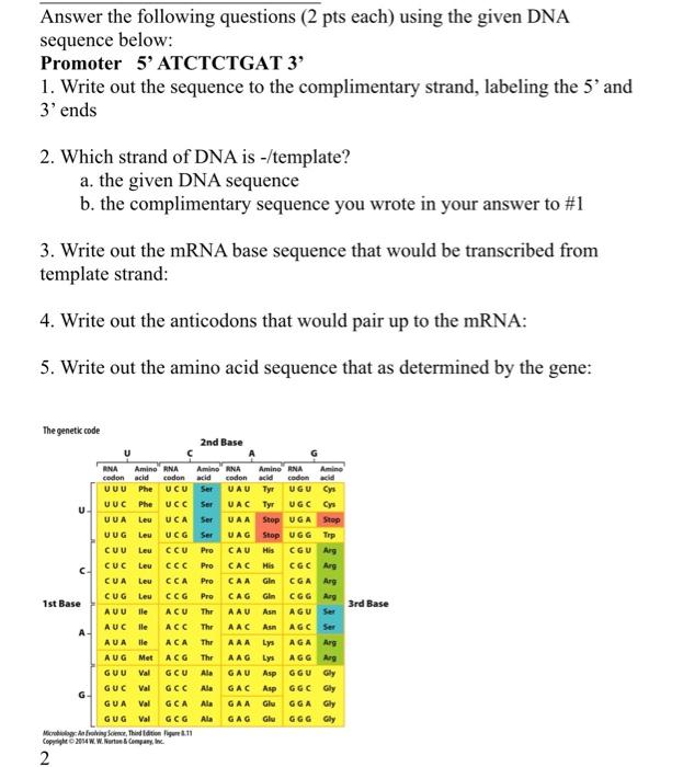 Solved Answer the following questions (2 pts each) using the | Chegg.com