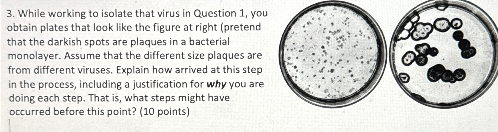 Solved While working to isolate that virus in Question 1, | Chegg.com