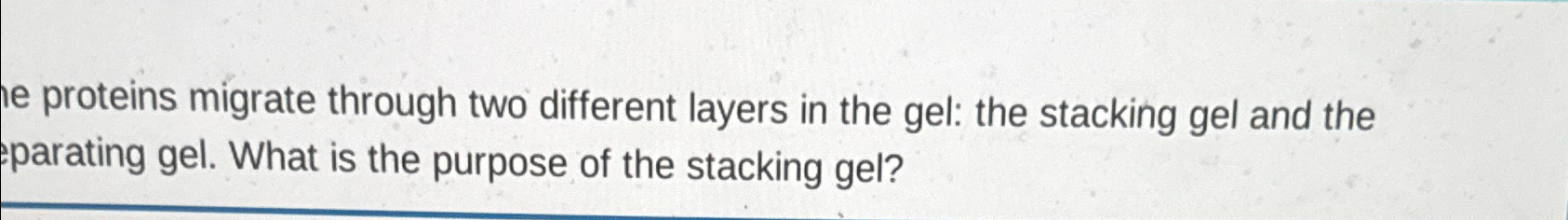 Solved proteins migrate through two different layers in the | Chegg.com