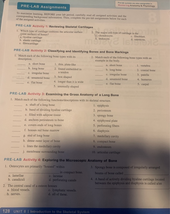PRE-LAB Assignments Pel que este in Mastering Anatomy | Chegg.com