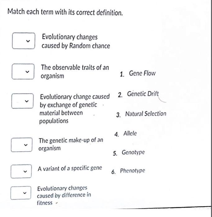 Solved Match each term with its correct definition. | Chegg.com
