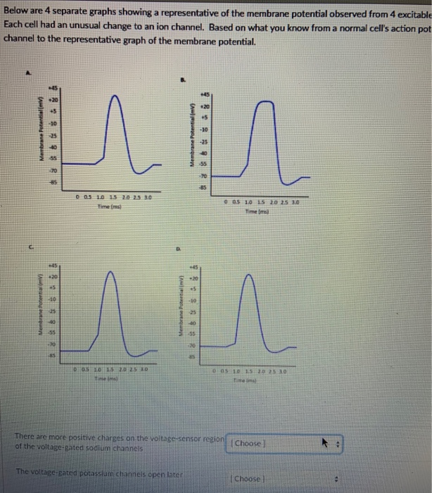 Solved Below are 4 separate graphs showing a representative | Chegg.com