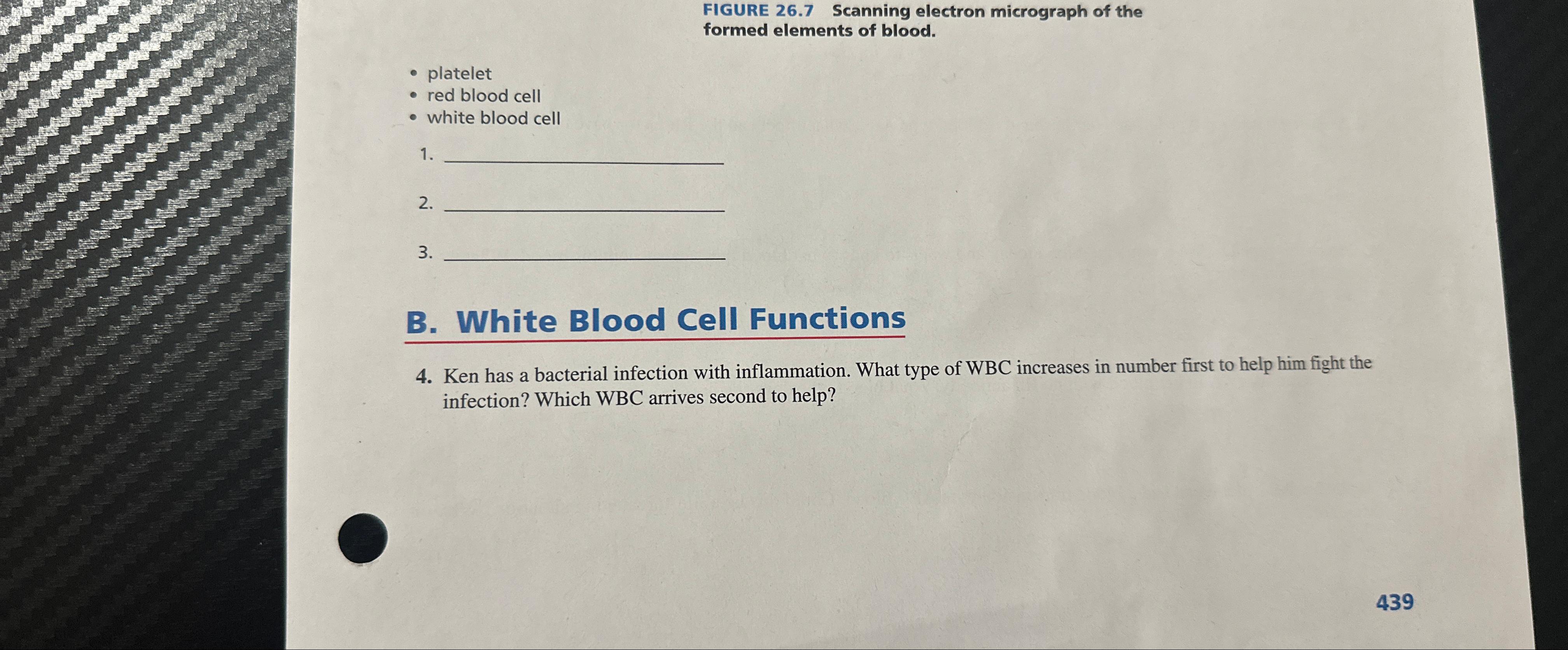 Solved FIGURE 26.7 ﻿Scanning electron micrograph of | Chegg.com