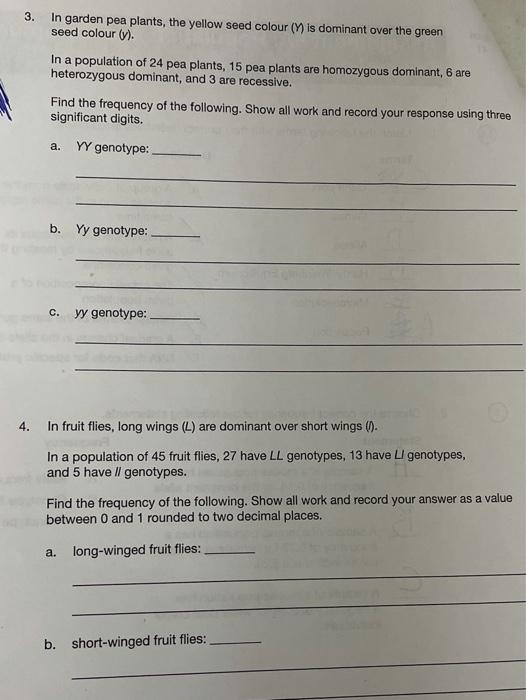 Solved If you could possibly respond with a typed out answer | Chegg.com