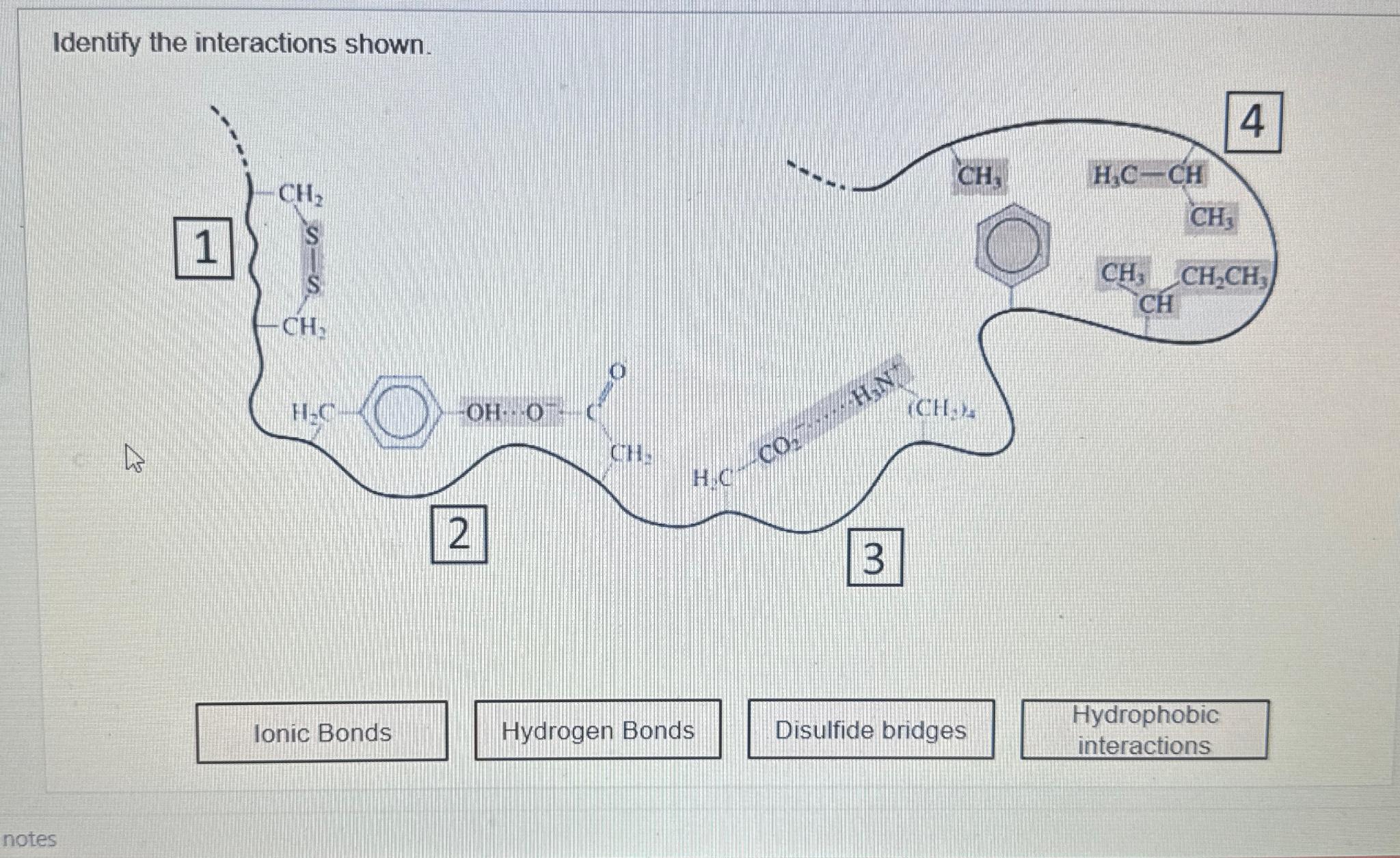 Solved Identify the interactions shown. | Chegg.com
