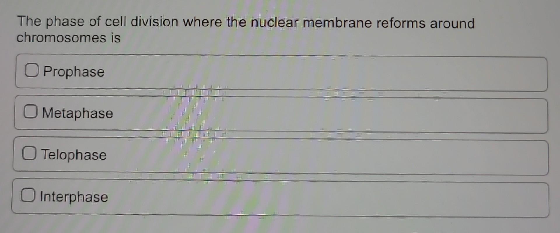 Solved The phase of cell division where the nuclear membrane | Chegg.com