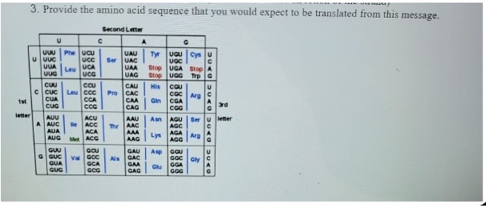 Solved Template : 3' TAC CGA TTA GGG CCT ACT 5'1. Write the | Chegg.com