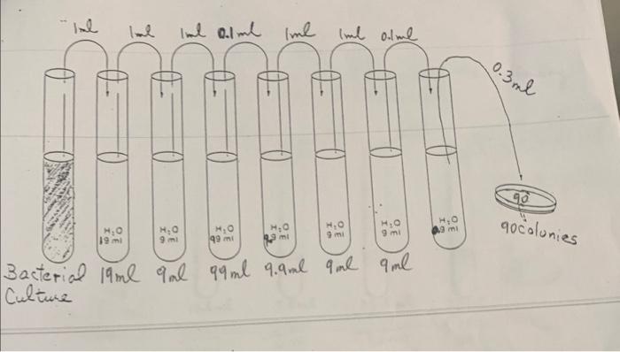 "inl 1me1ml0.1ml1ml1ml0.1ml Culture | Chegg.com