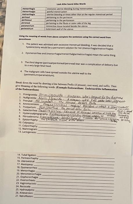 Solved menorrhagia menorrhalgia metrorrhagia perineal | Chegg.com