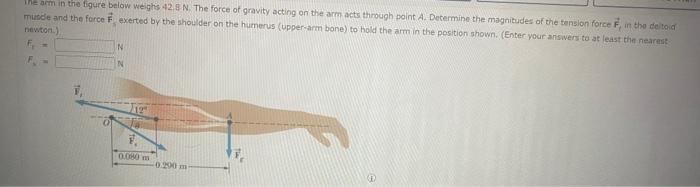 Solved Ine arm in the figure below weighs 42.8 N. The force | Chegg.com
