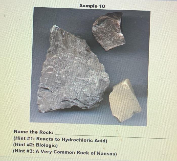 Solved Sample 6 Name the Rock: (Hint #1: Composed of | Chegg.com