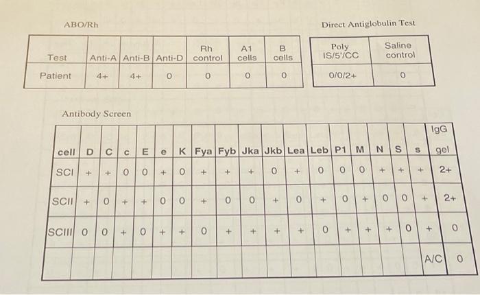 Solved ABO/Rh Direct Antiglobulin Test Antihnolv Somen | Chegg.com