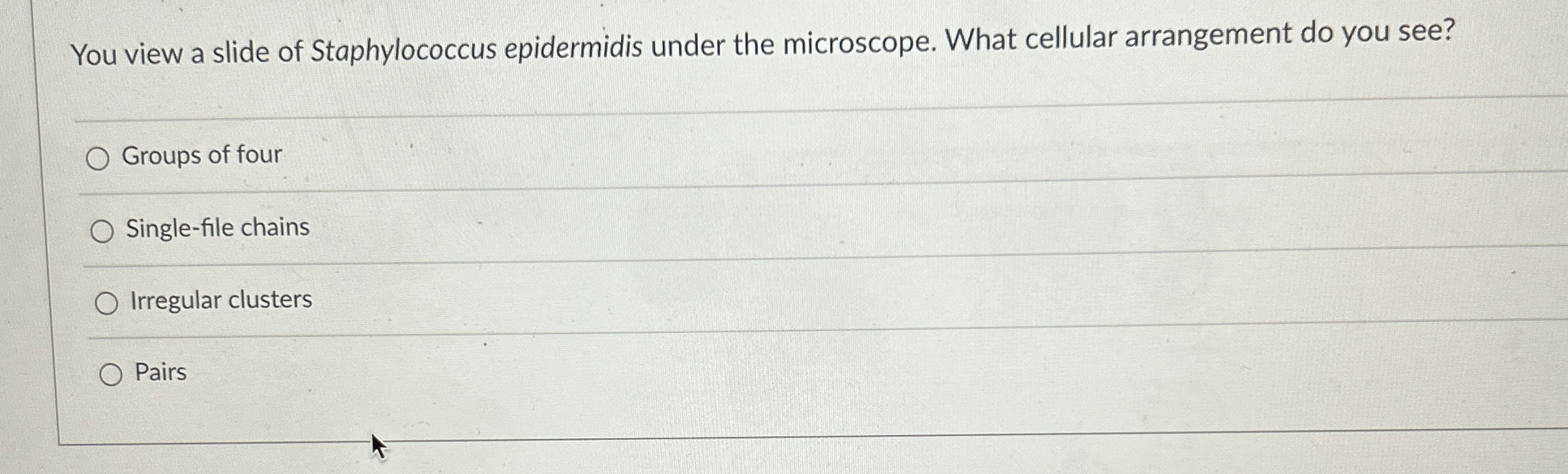 Solved You view a slide of Staphylococcus epidermidis under | Chegg.com