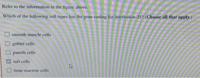 Solved Examples of secretory cell types in the intestinal | Chegg.com
