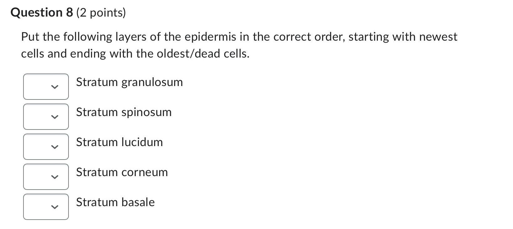 Solved Question 8 (2 ﻿points)Put the following layers of the | Chegg.com