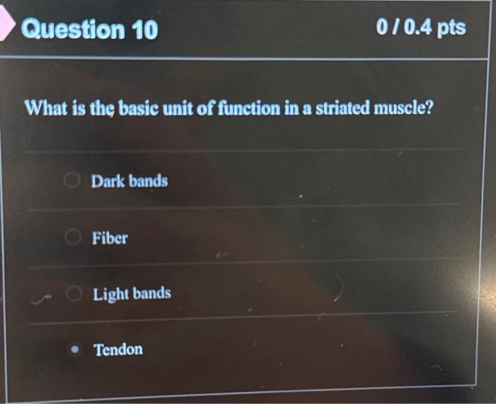 Solved What is the basic unit of function in a striated | Chegg.com